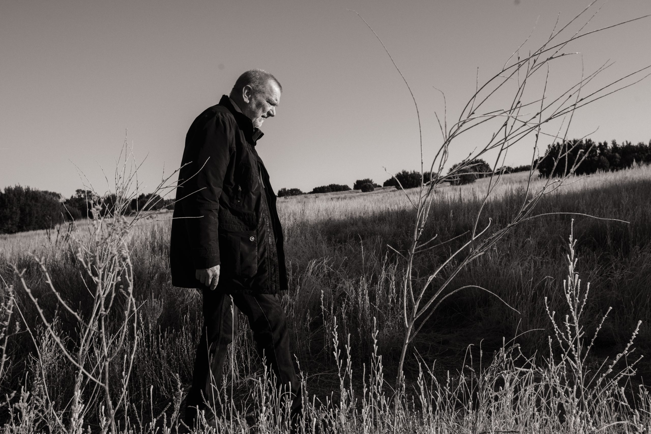 Michelle Fields Fired